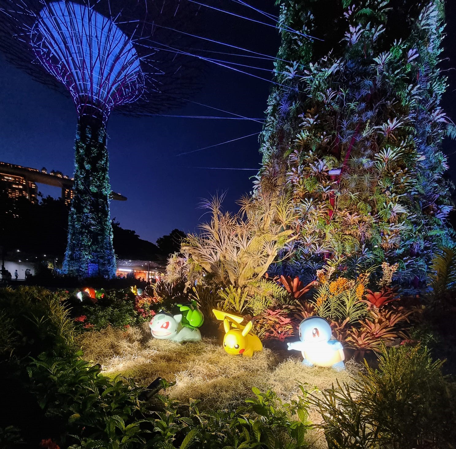 Pokémon welcomes you at Gardens by the Bay！｜Pokémon Air Adventures
